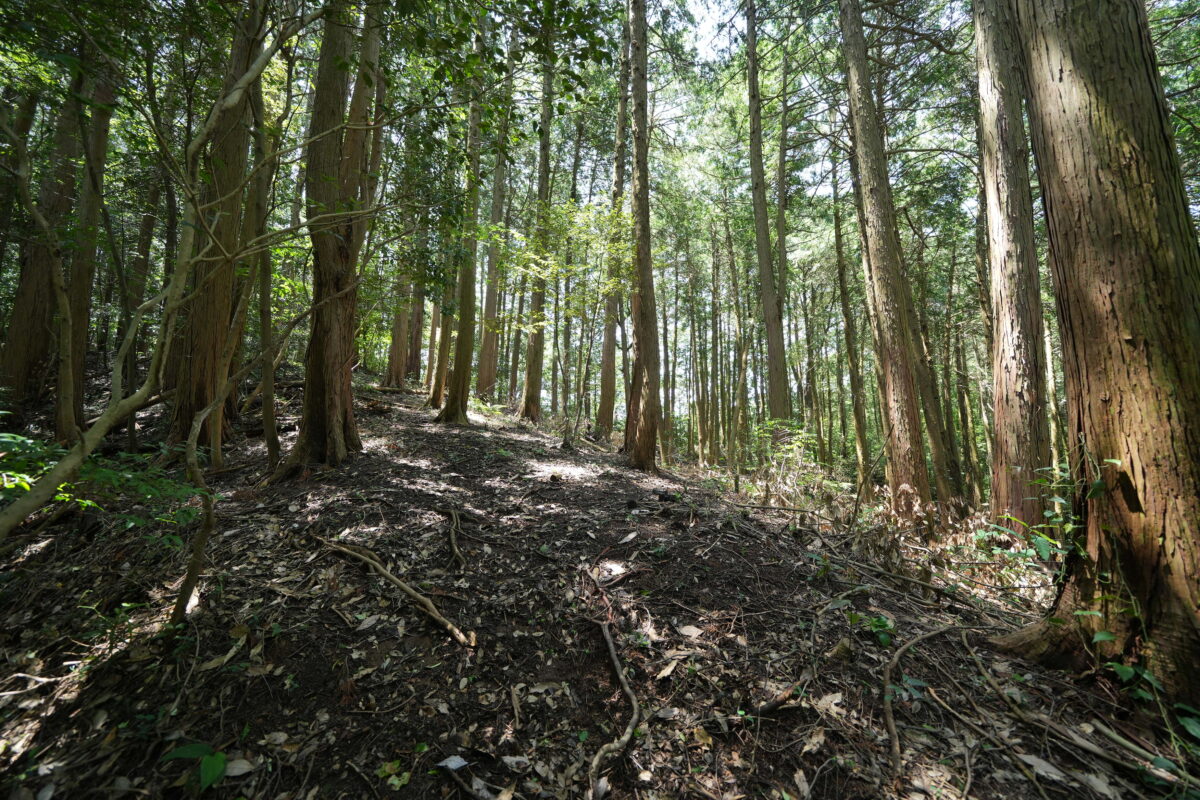 これぞ本格キャンプ！森林空間を1年間レンタルできるforentaに福岡が追加 | 【モトメガネ】バイク・オートバイ|自動車・クルマ|キャンプの ...